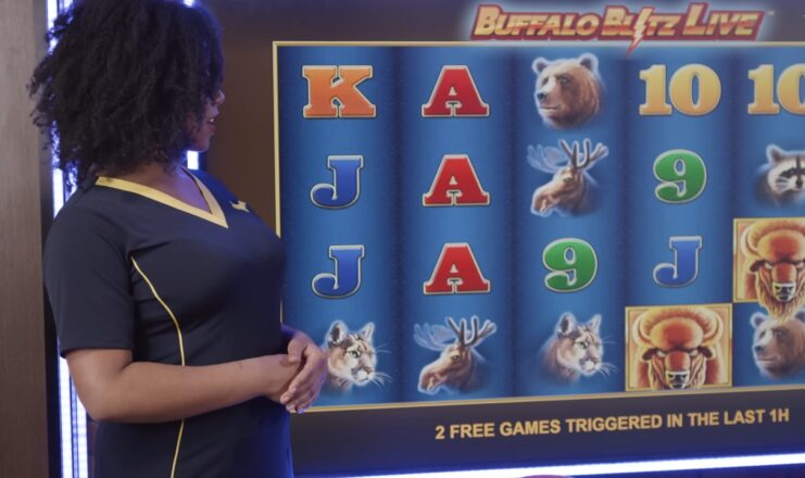 The Different Types Of Online Casinos: From Virtual to Live - VCSD