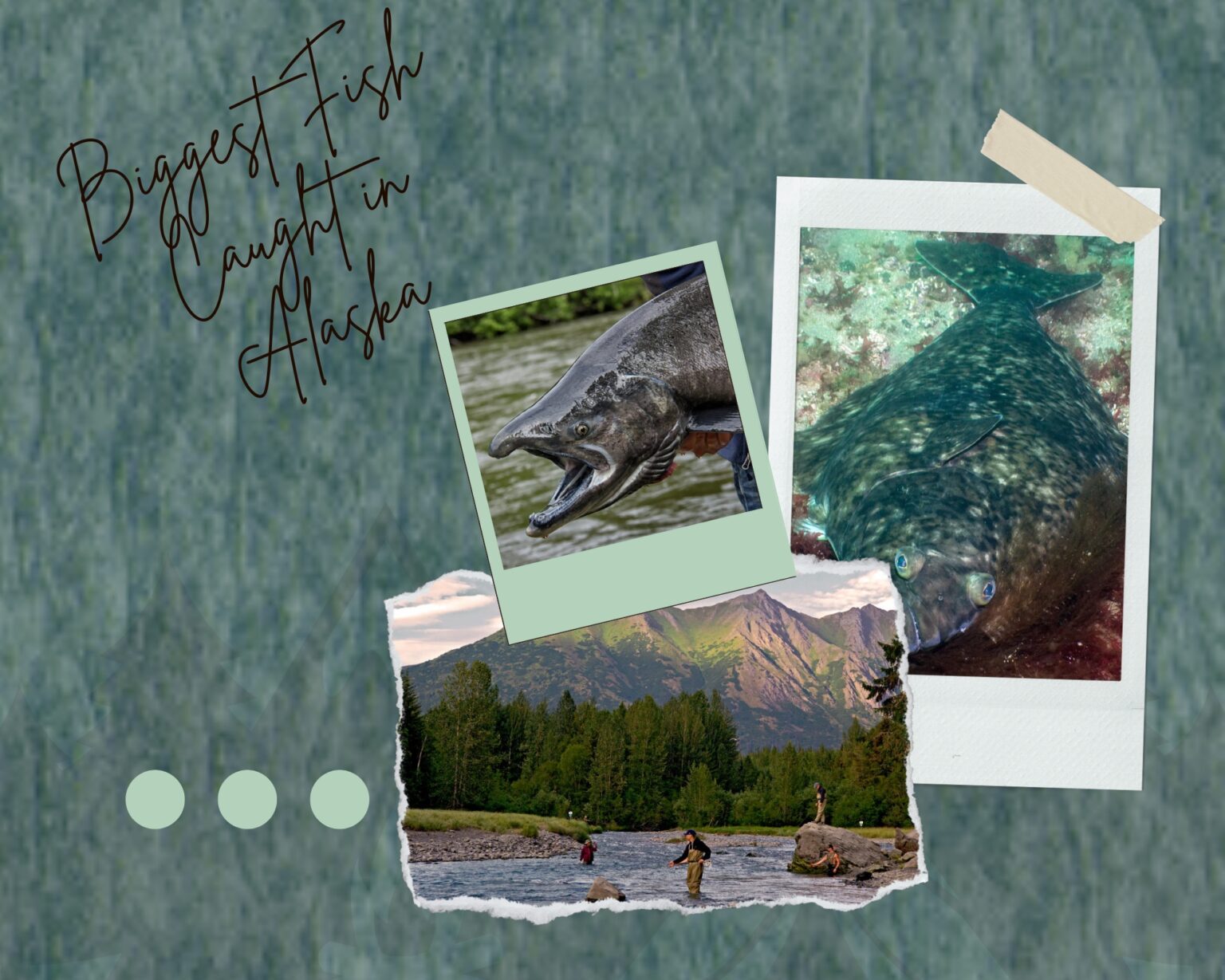 Discover the Biggest Fish Caught in Alaska: A Journey into the Icy ...