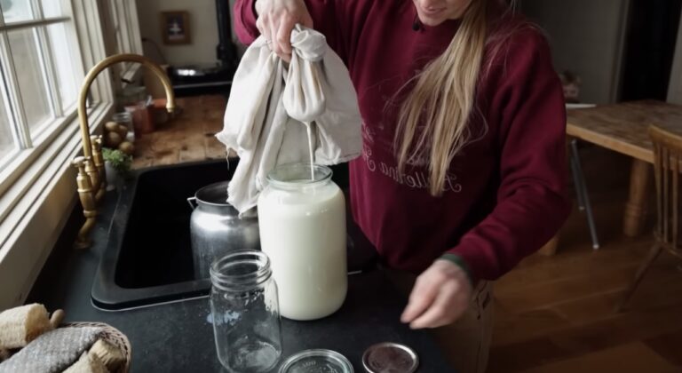 The Truth about Raw Milk: Myths Dispelled, Realities Explored - VCSD
